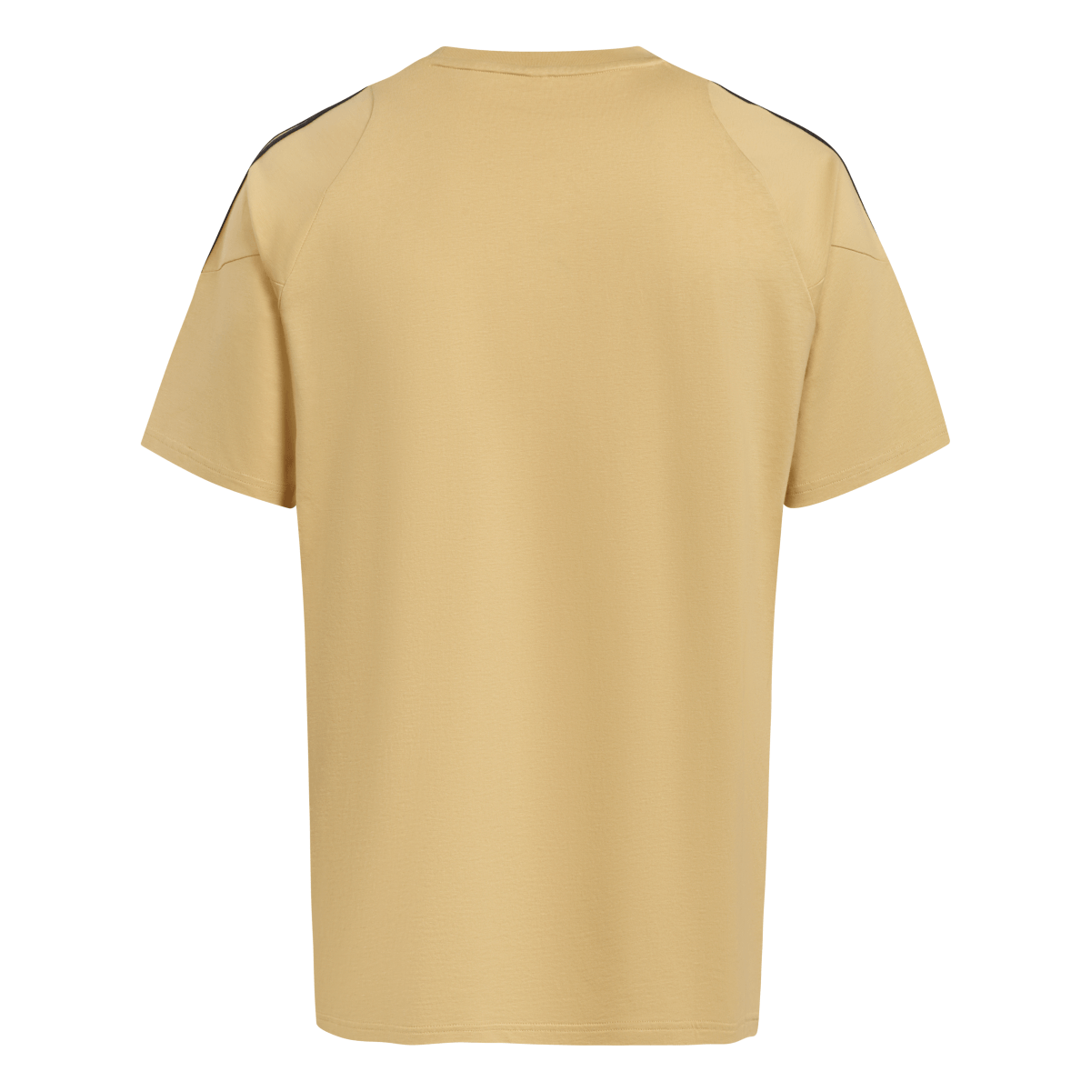 Remera Adidas Argentina 24 Beige Hombre - Coppel